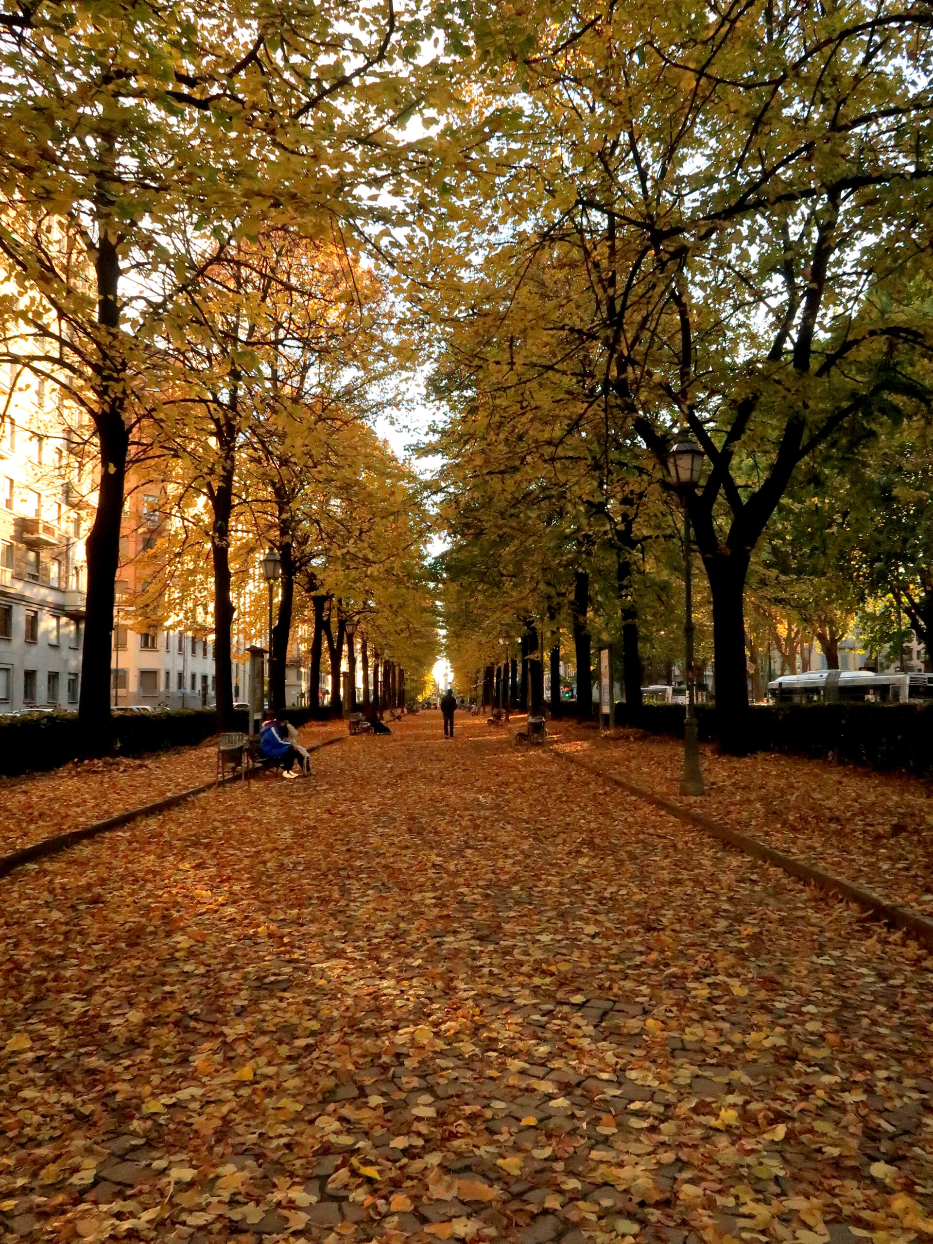 Autumn in Torino - Turin Piedmont Guides - Enjoy Piedmont